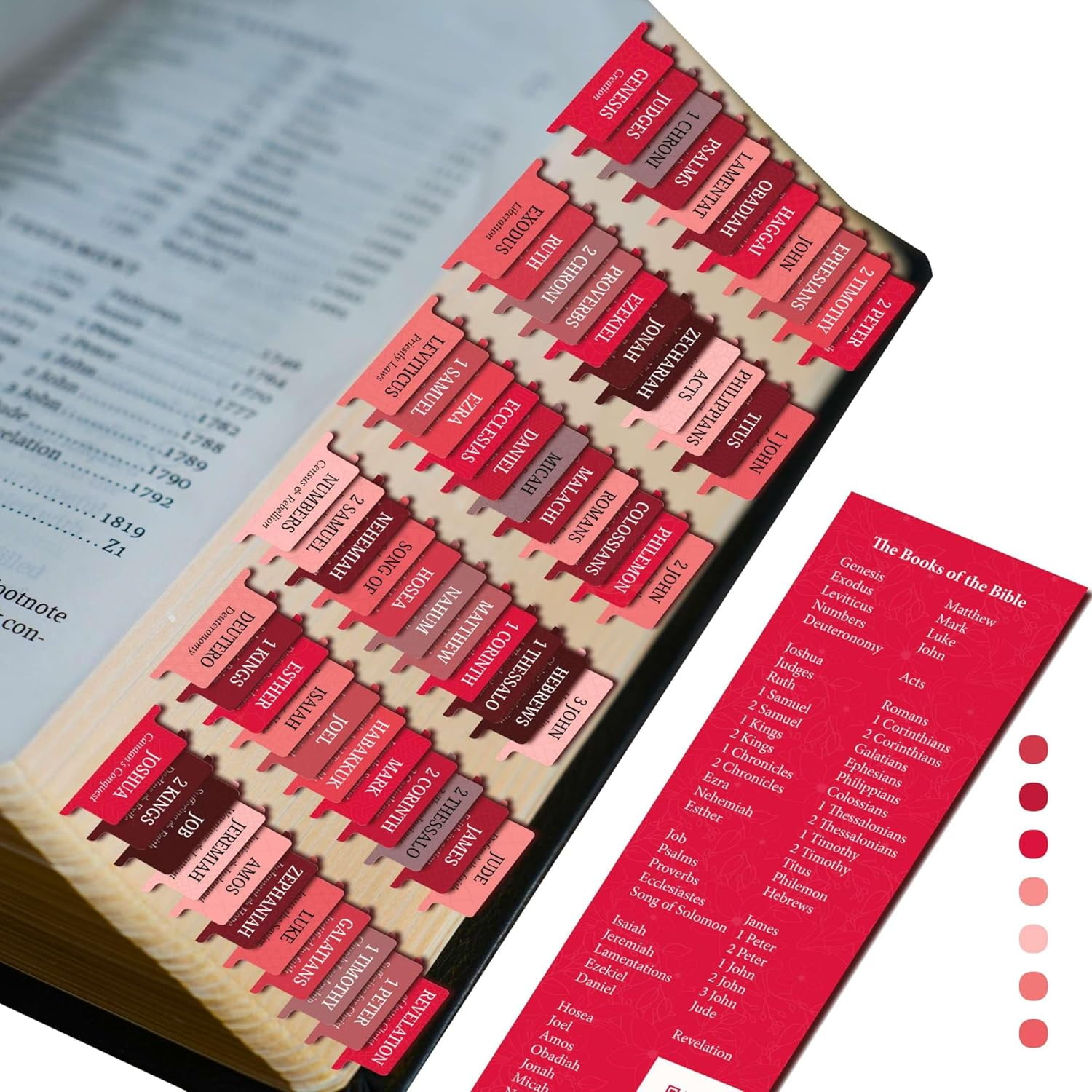 Bible Tabs Premium Tear Resistant Bible Tabs – Easy to Apply, Laminated ...