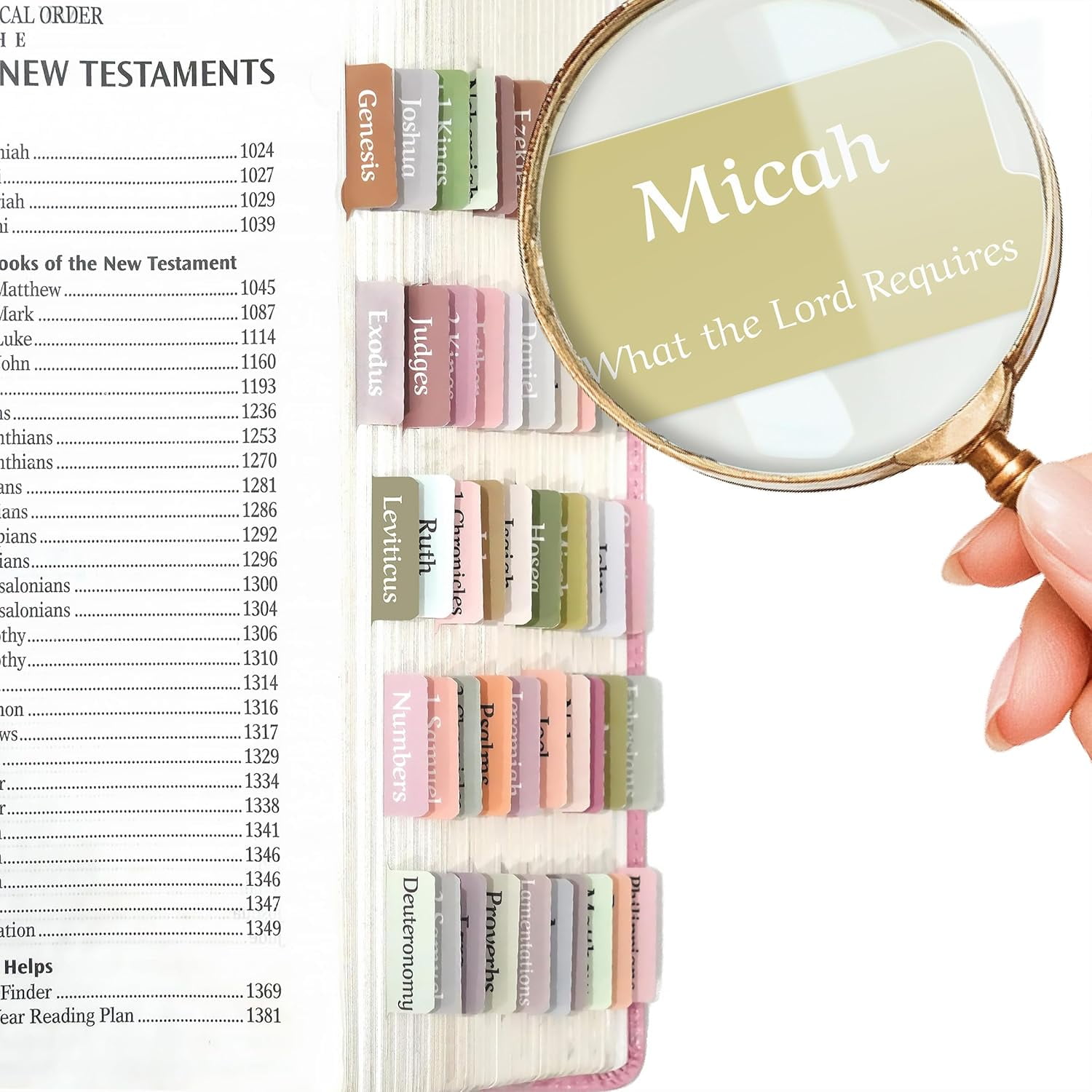 Bible Tabs for Study Bible, New & Old Testament Tabs Matte Laminated ...
