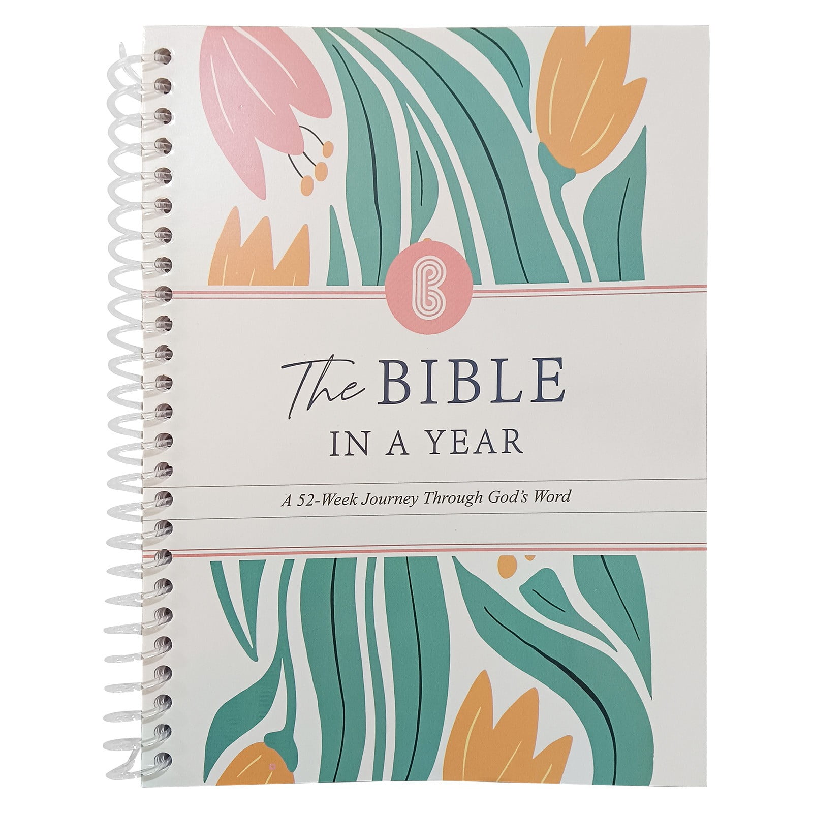 The Bible in a Year: A 52-Week Journey Through God's Word, Bible Study ...