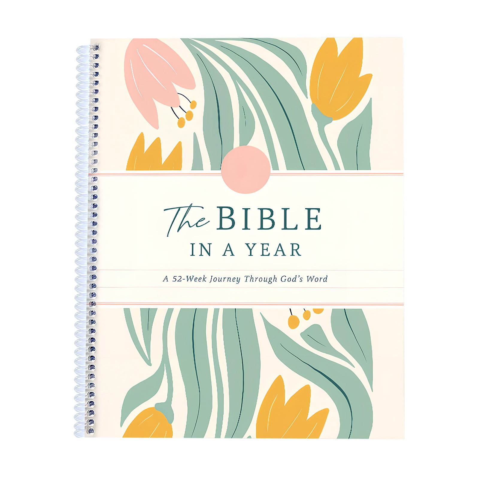 The Bible in a Year: A 52-Week Study, Bible in a Year Essentials, The ...