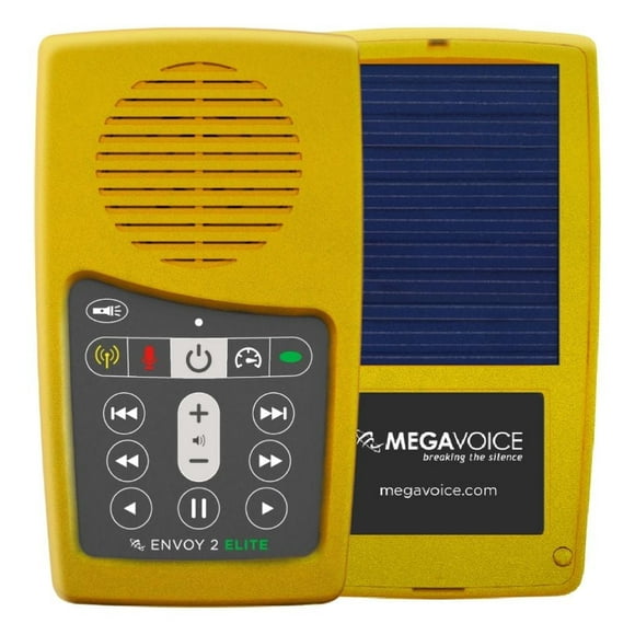 Handheld Electronic Bible