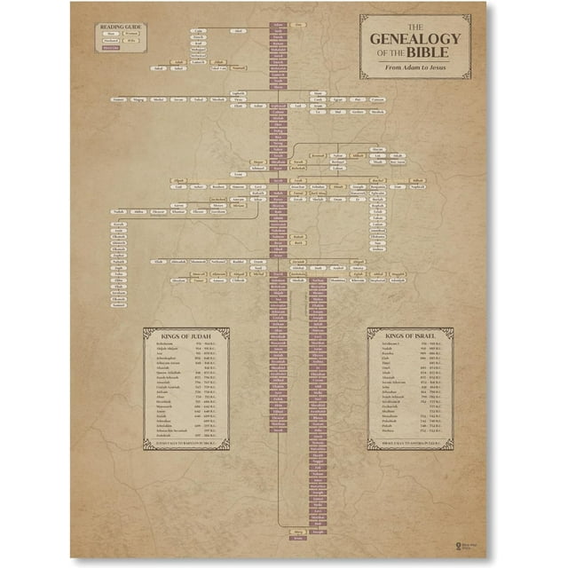 Biblical Genealogy Chart, Jesus Family Tree, Bible History Study Tool ...