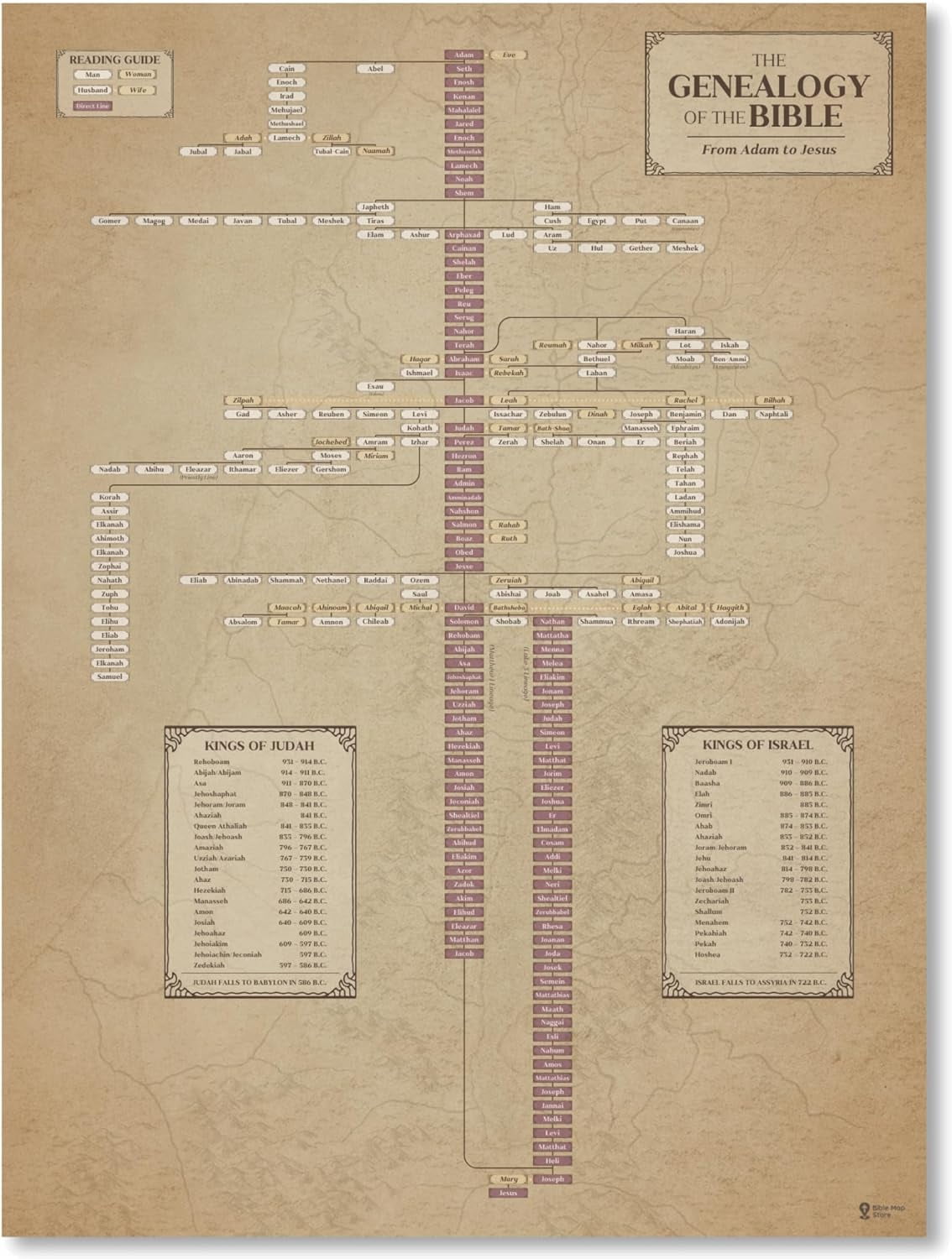Biblical Genealogy Chart, Jesus Family Tree, Bible History Study Tool ...