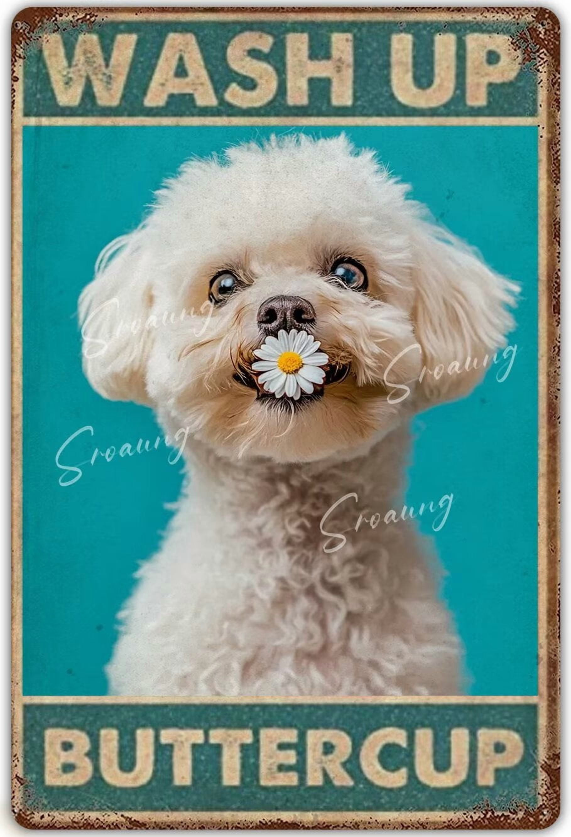 Bichon Frise Diamond Painting Kits for Adults - Wash Up Buttercup Funny ...