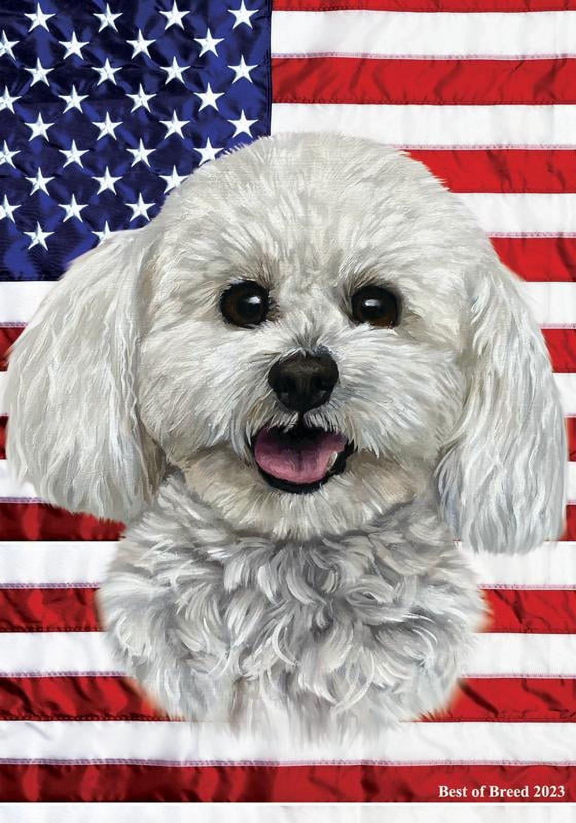 Bichon Frise Show Cut - Best of Breed All-American Patriotic III Garden ...