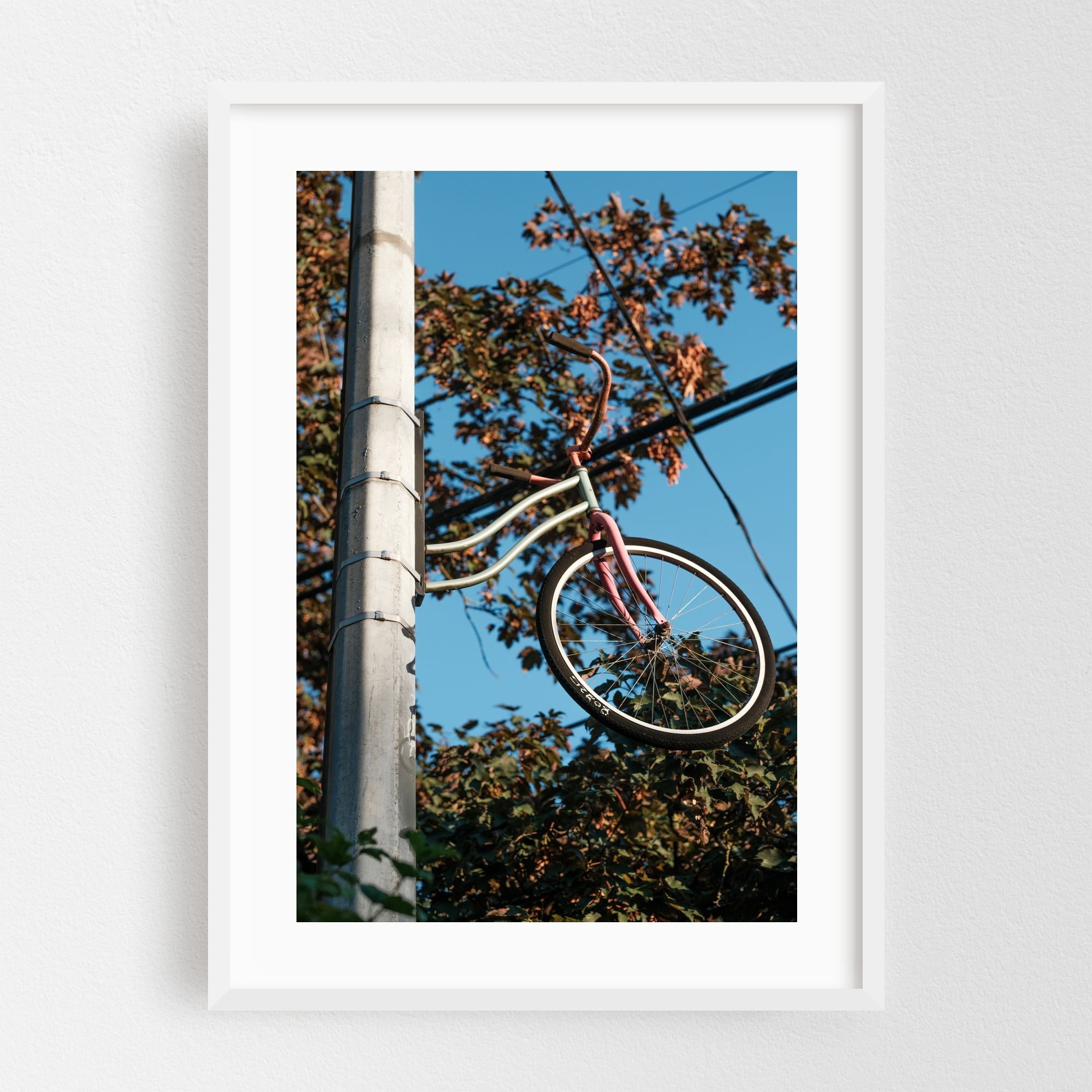 Bicycle Reflections in Clinton Street Art - Photography Bicycle ...