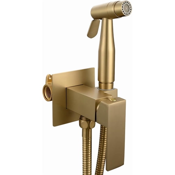 Bidet Sprayer for Toilet 304 Stainless Steel 2 Function Water Outlet ...
