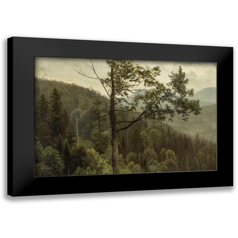 Bierstadt, Albert 24x17 Black Modern Framed Museum Art Print Titled ...