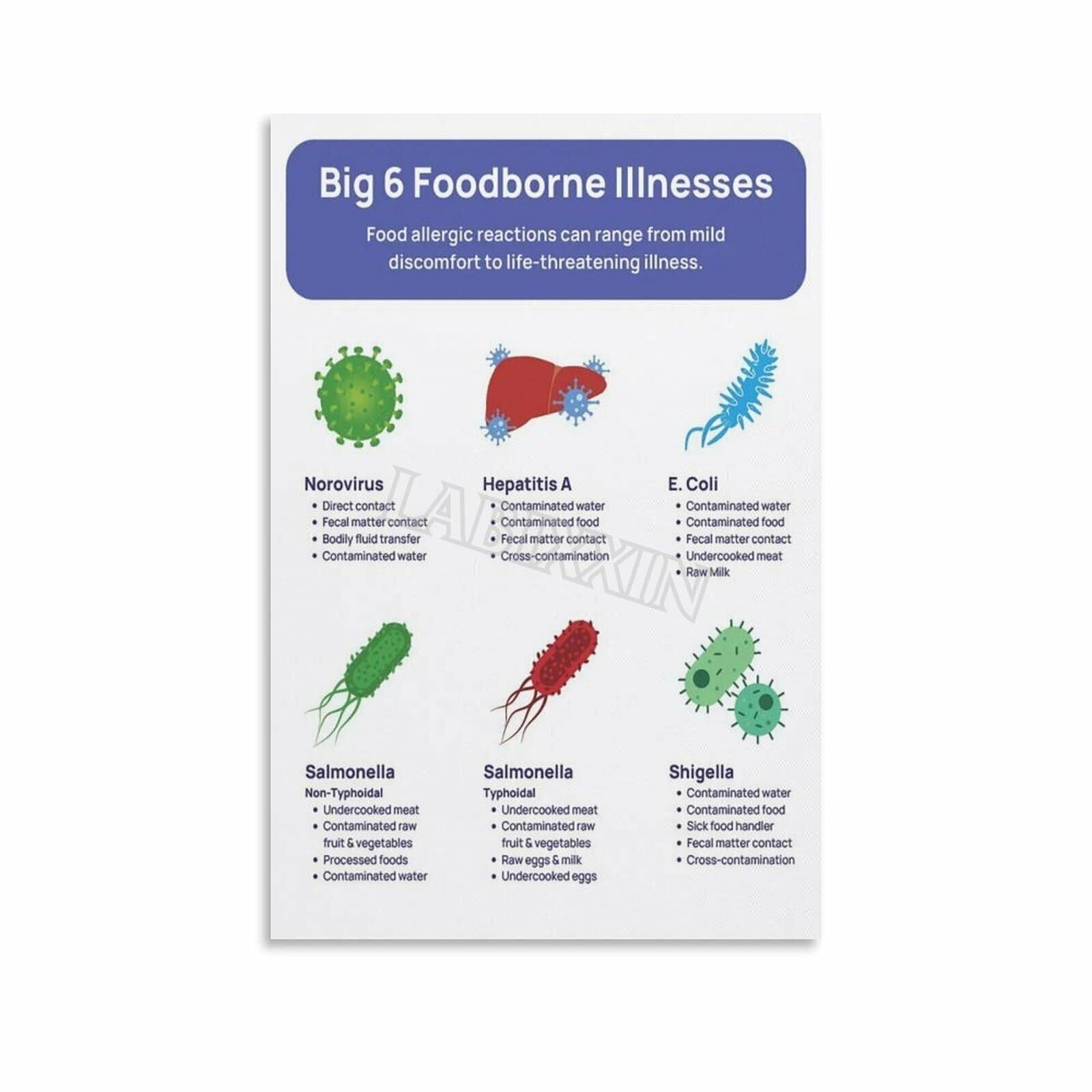 Big 6 Foodborne Illnesses Poster Food Safety Health Wall Art (2) Canvas ...