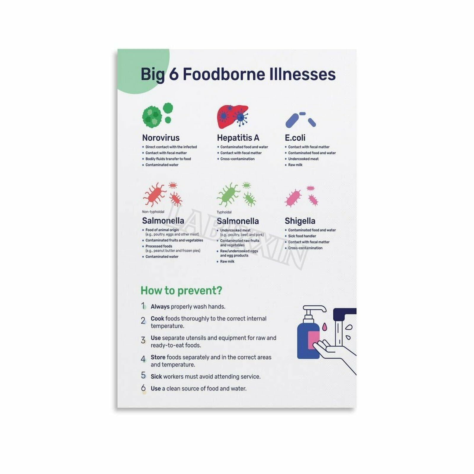 Big 6 Foodborne Illnesses Poster Food Safety Health Wall Art (3) Canvas ...