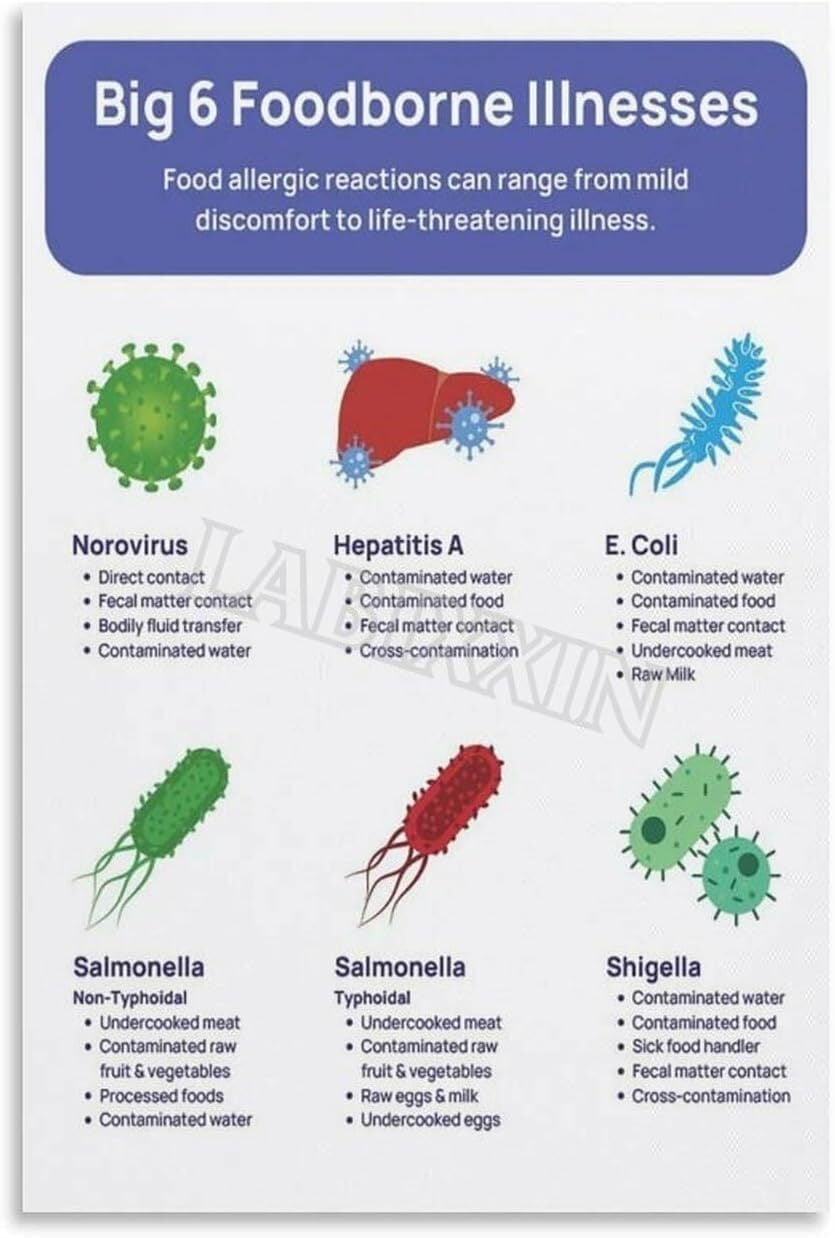 Big 6 Foodborne Illnesses Poster Food Safety Health Wall Art for ...