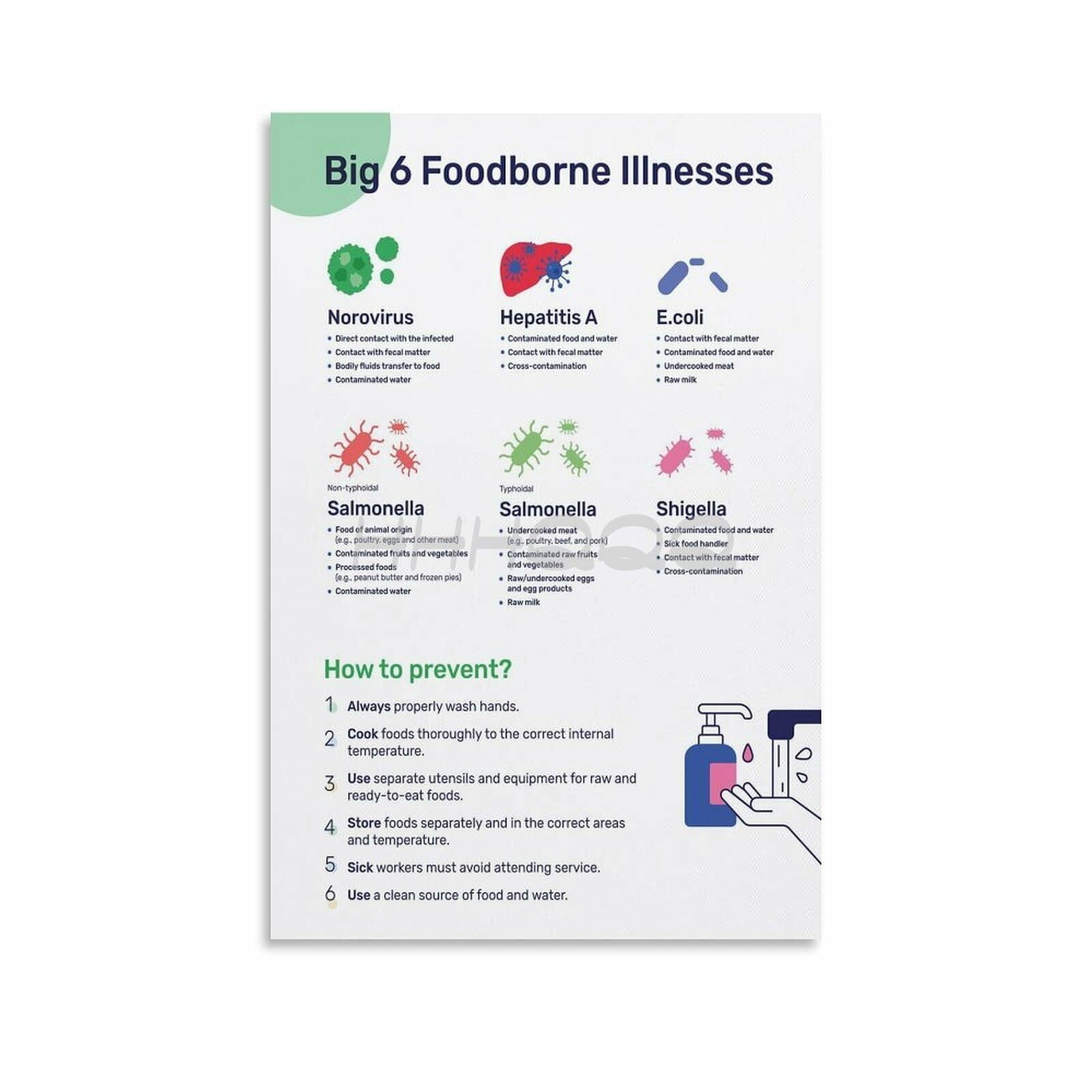 Big 6 Foodborne Illnesses Poster, Food Safety Poster (3) Canvas ...