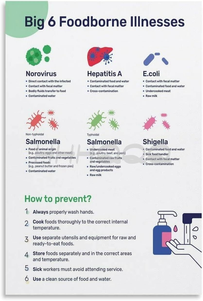 Big 6 Foodborne Illnesses Poster, Food Safety Poster Wall Art Painting ...