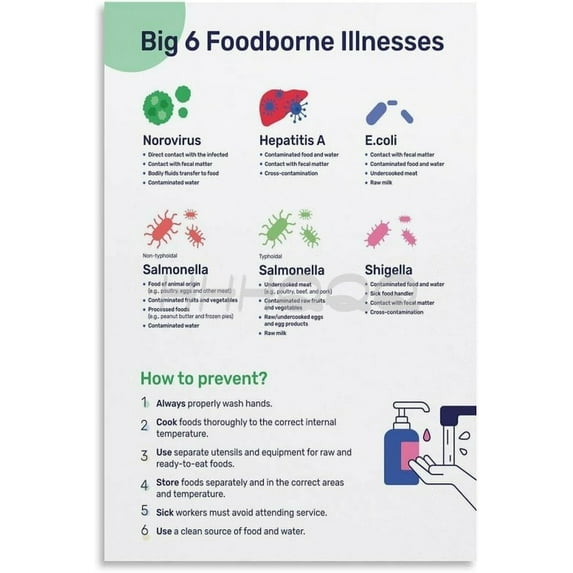 Big 6 Foodborne Illnesses Poster, Food Safety Poster Wall Art Painting ...