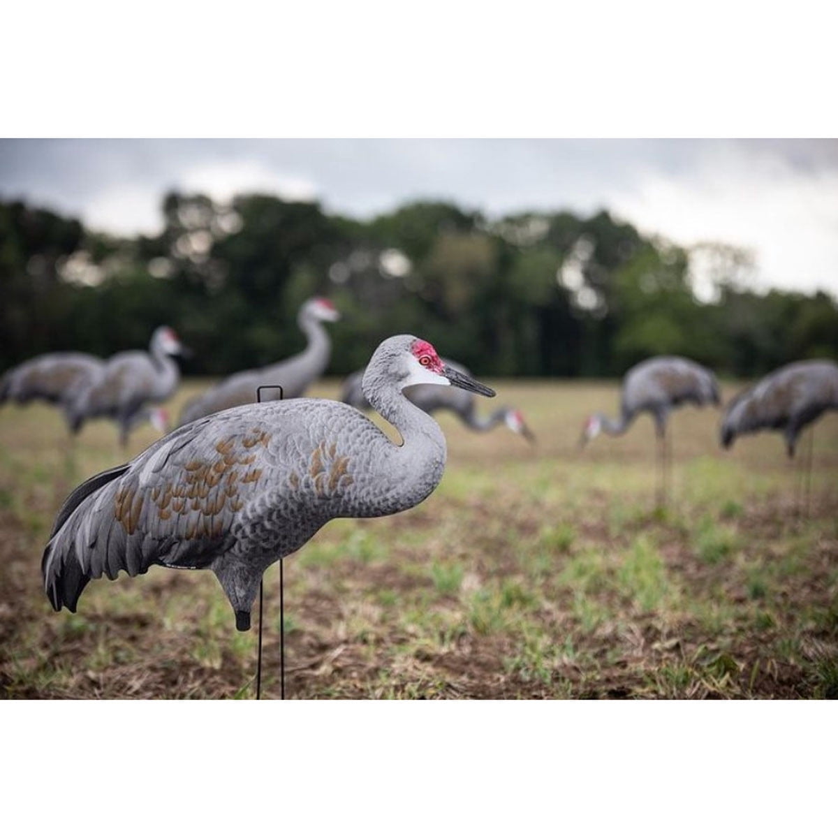 Big Als Decoys Sandhill Crane Silhouettes 12 Pack - Walmart.com
