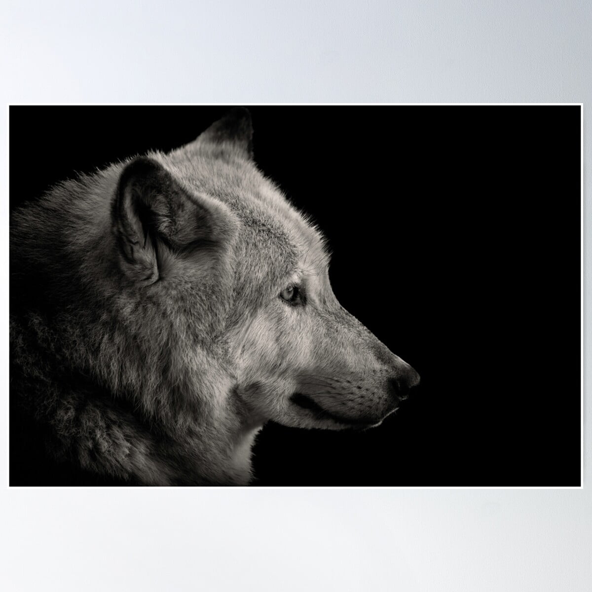 Big Bad Wolf Poster Wall Art, Modern Wall Decor For Living Room Bedroom ...