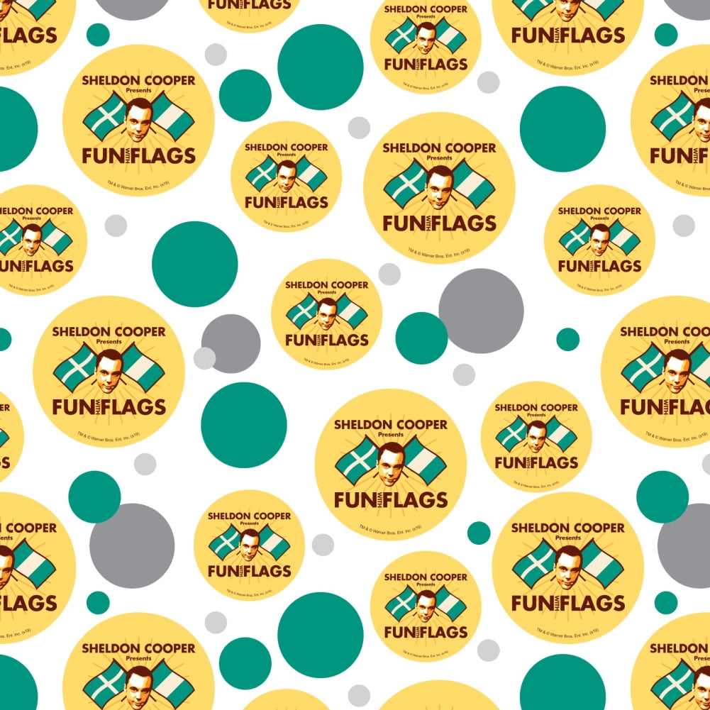 Big Bang Theory Sheldon Cooper Fun with Flags Premium Gift Wrap ...