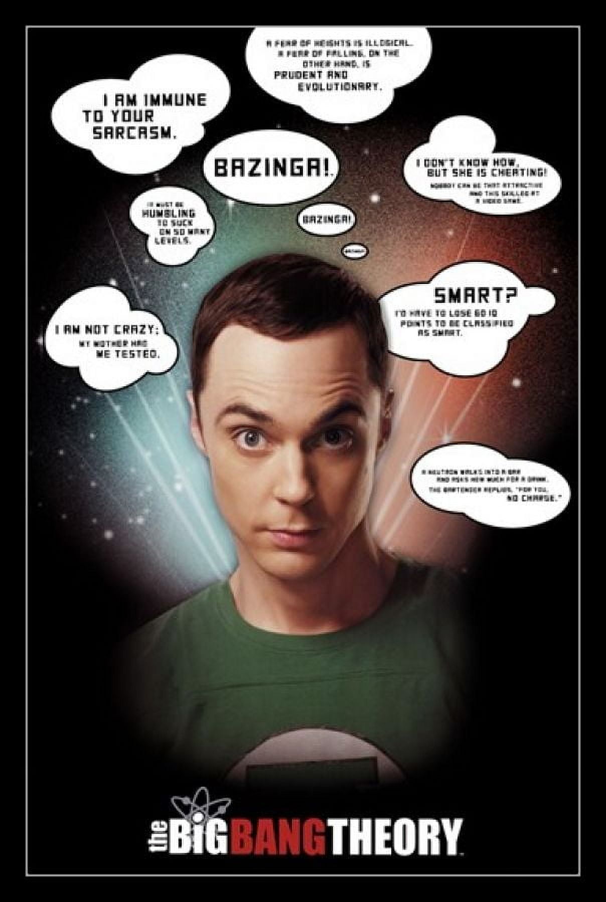 Sheldon Smart Quotes