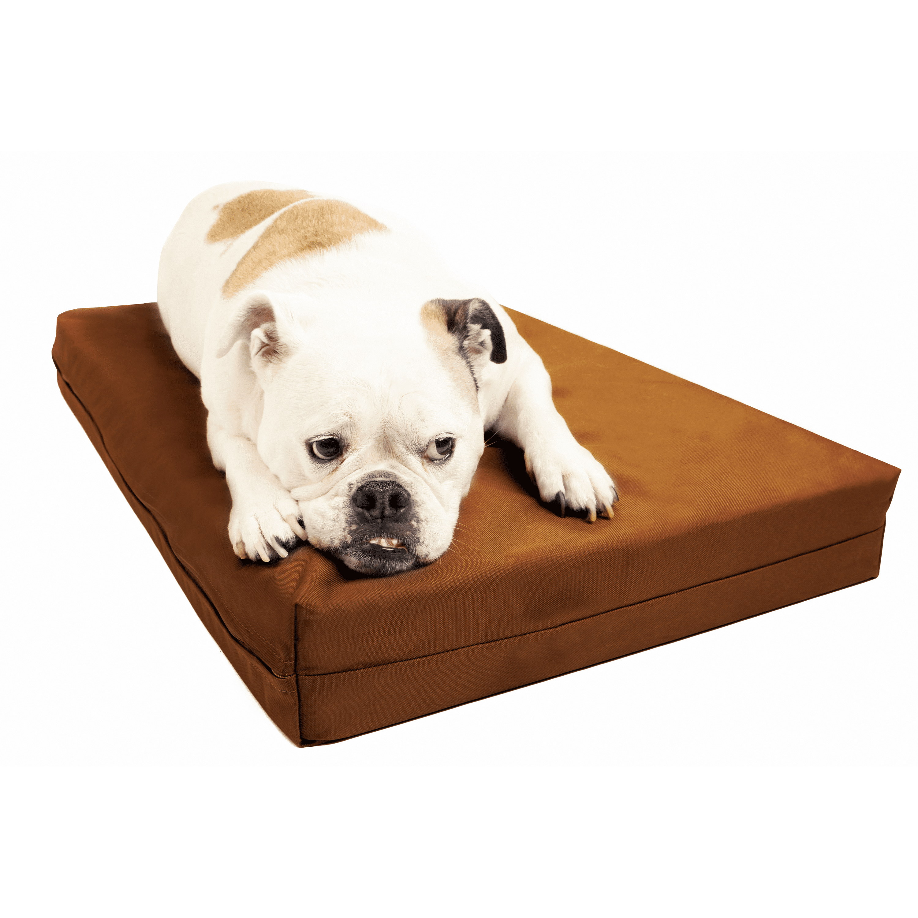 Big Barker Orthopedic Waterproof Tear Resistant Dog Crate Pad with ...