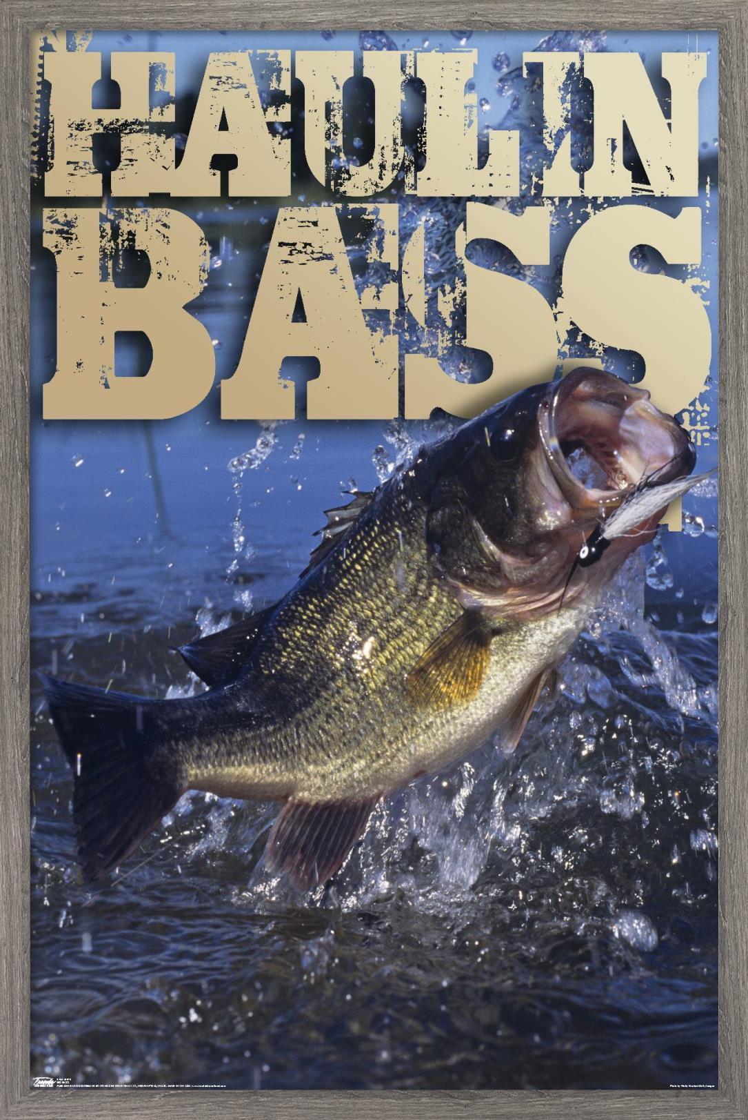 Big Bass Wall Poster, 22.375" x 34" Framed - Walmart.com