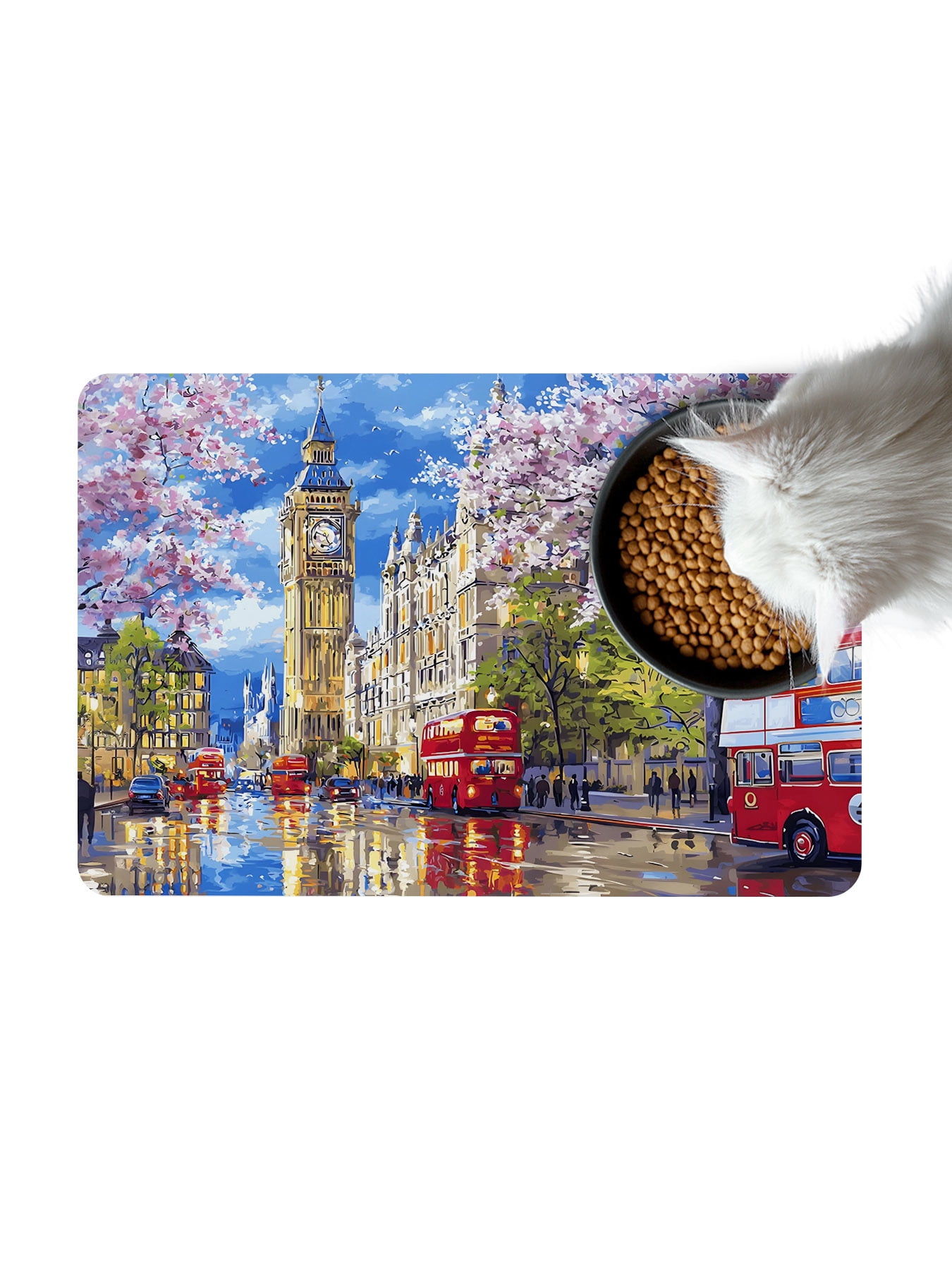 Big Ben Doormat Non Slip Diatomaceous Earth Door Mat Absorbent Quick ...