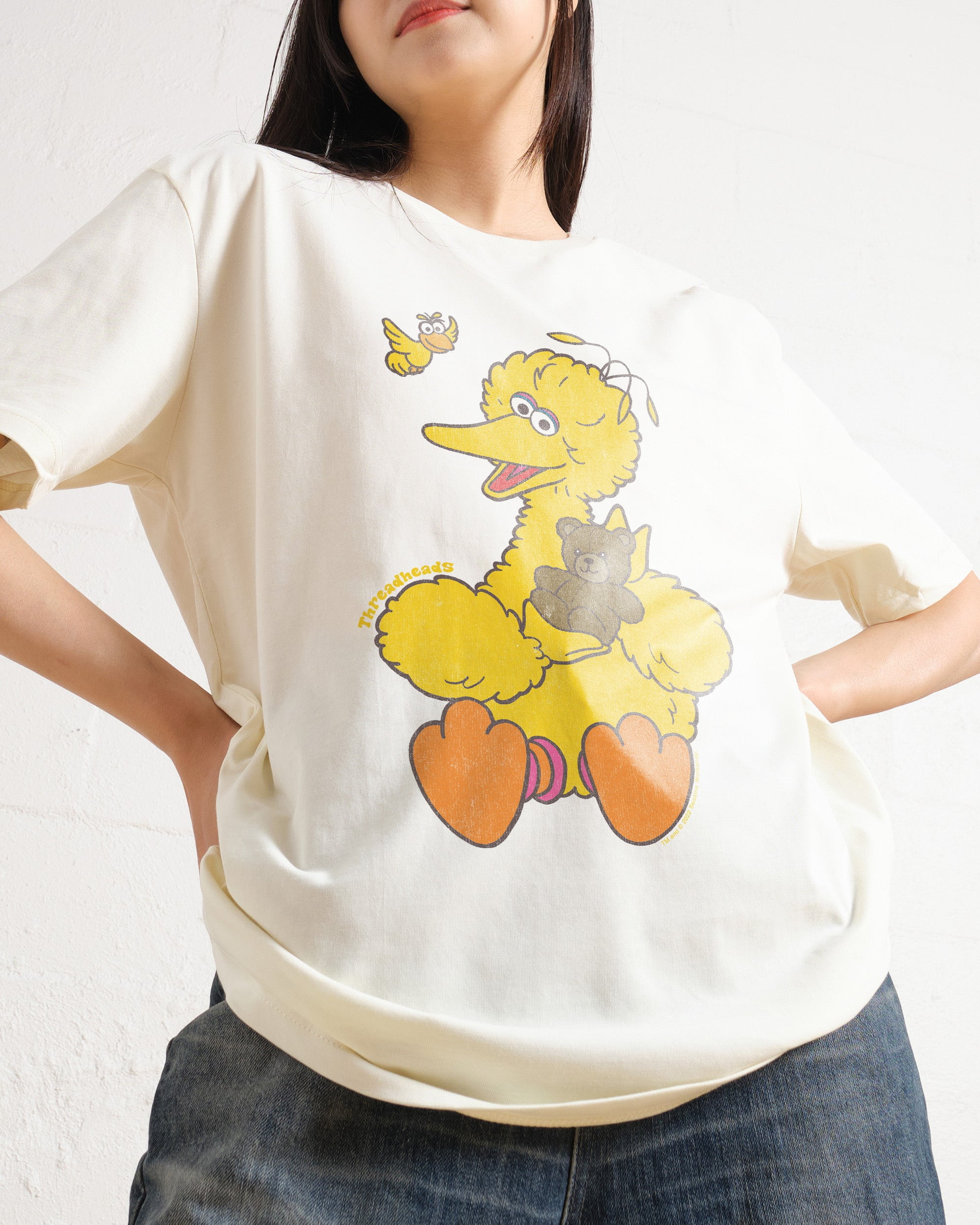 Big Bird T-Shirt - Walmart.com
