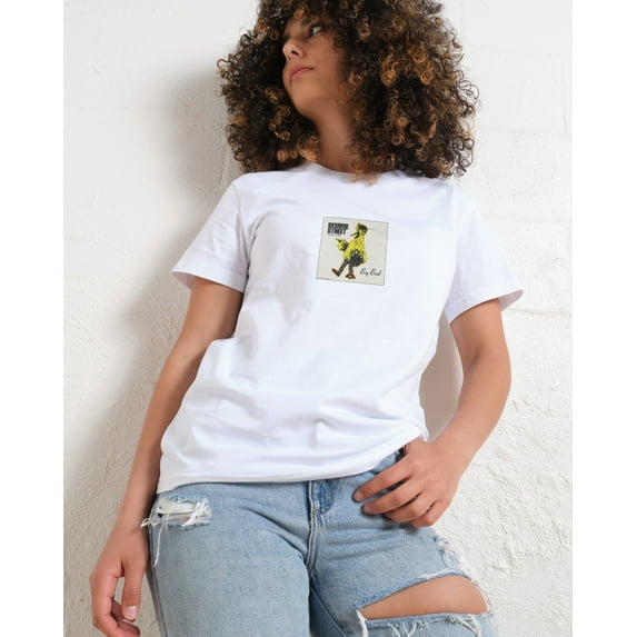 Big Bird Underground T-Shirt gender_mens - Walmart.com