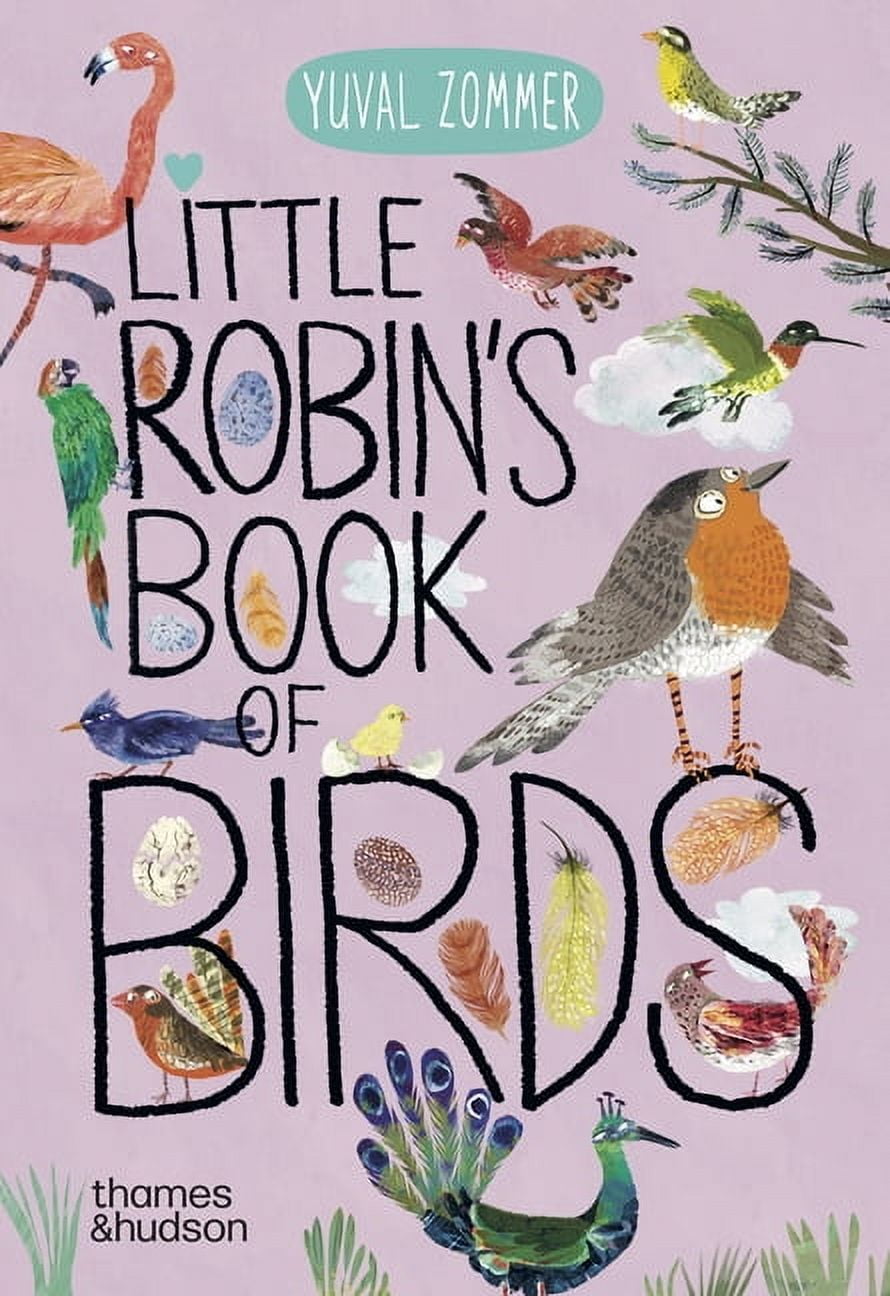 Big Book Of... Little Robin's Book of Birds, (Board Book) - Walmart.com