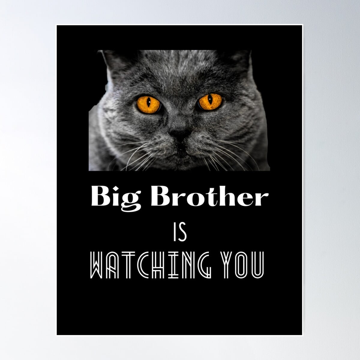 Big Brother Is Watching You! Poster Wall Art, Modern Wall Decor For ...