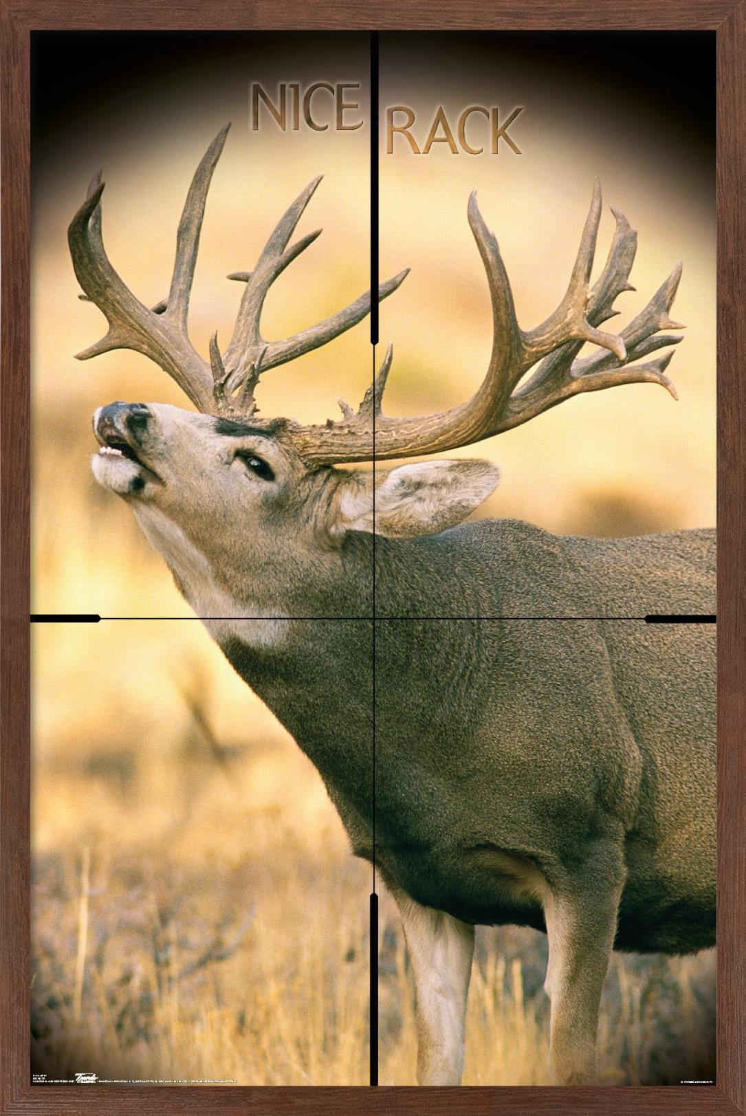 Big Buck Wall Poster, 14.725" x 22.375" Framed - Walmart.com