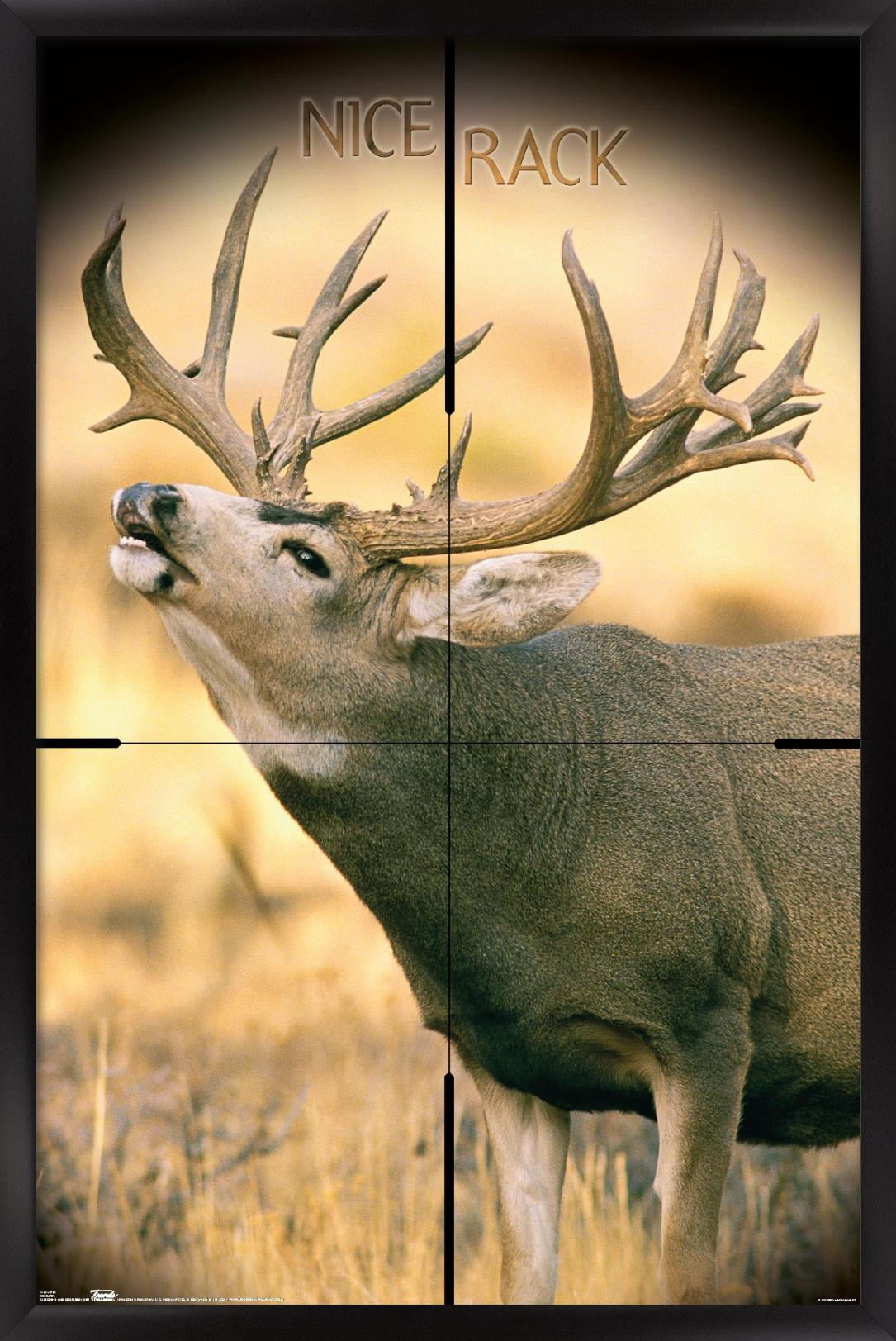 Big Buck Wall Poster, 22.375" x 34", Framed - Walmart.com