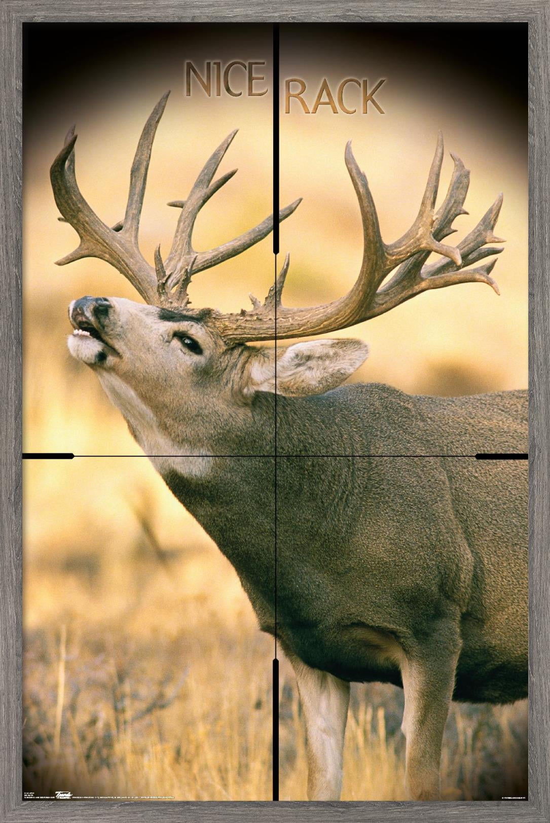 Big Buck Wall Poster, 22.375" x 34" Framed - Walmart.com