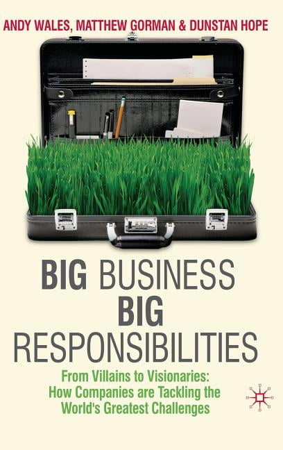 Big Business, Big Responsibilities: From Villains to Visionaries: How ...