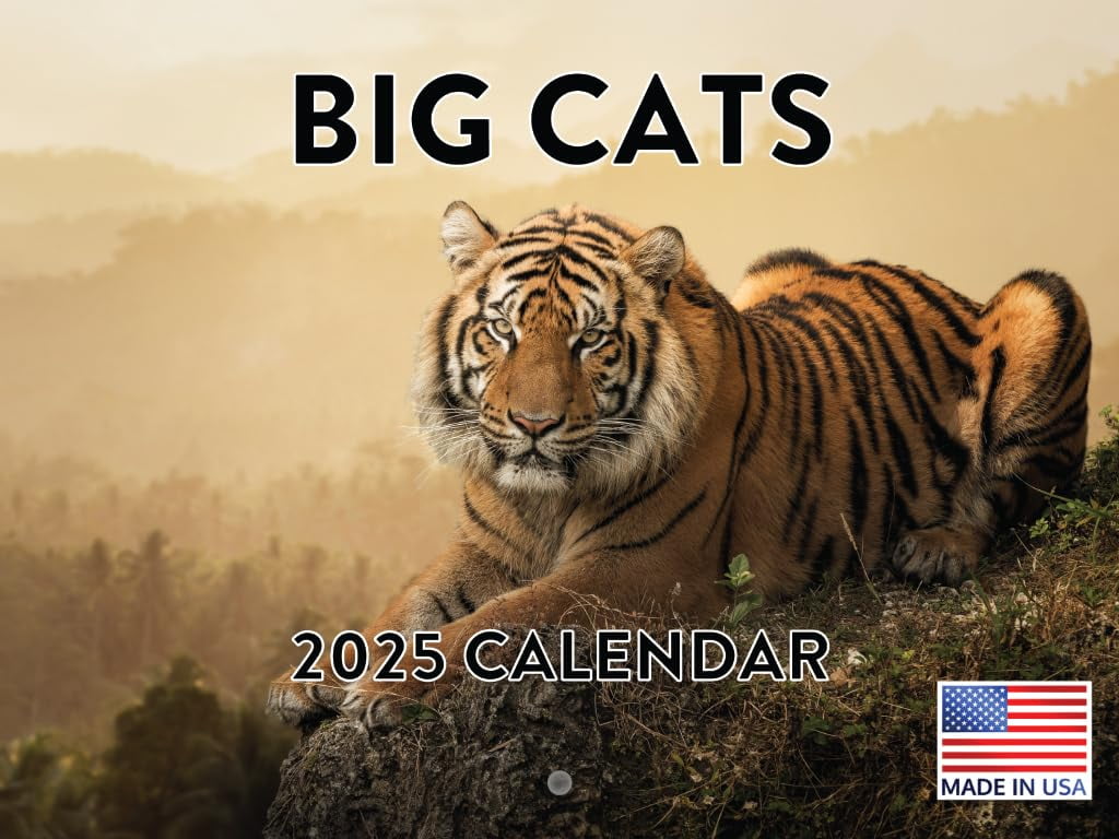 Big Cat Animal Calendar 2025 Wildlife Photography Big Animal Nature ...