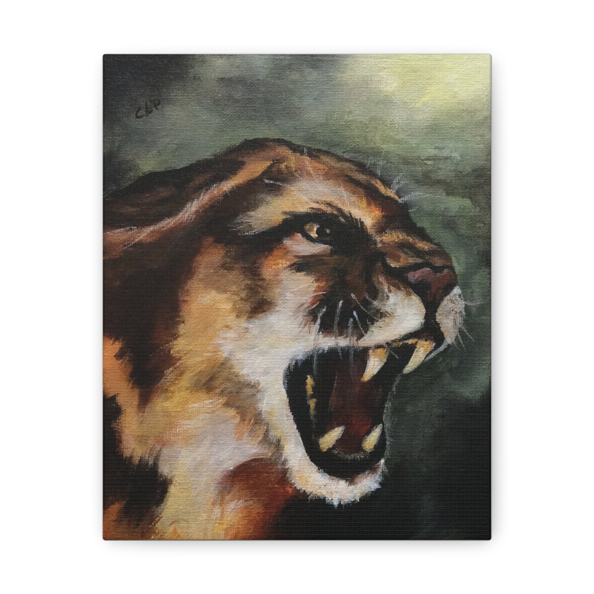 Big Cat, Cheryl Pettigrew Fine Art, Traditional Art, Canvas Gallery ...