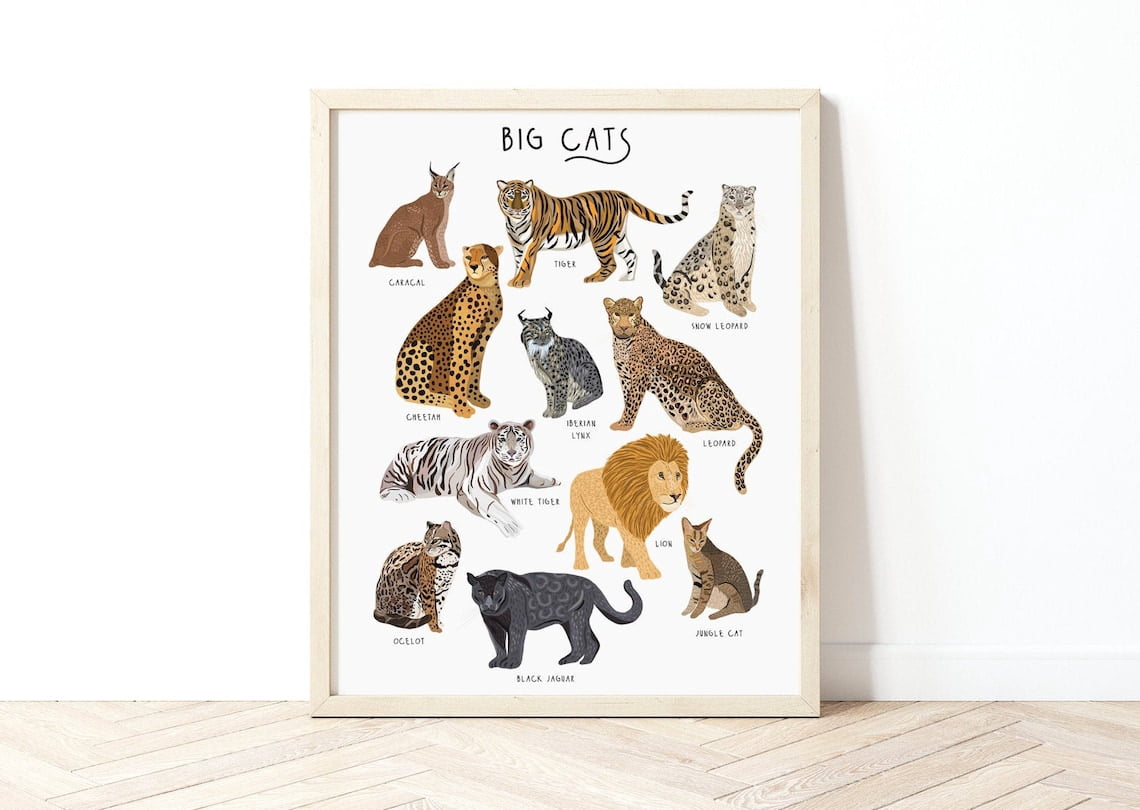 Big Cats Poster, Tropical Jungle Cat Print, Unframed Paper Poster ...