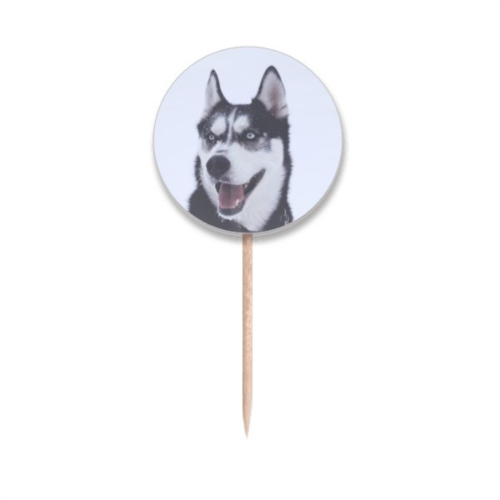 Big Dog Snow Husky Picture Toothpick Flags Round Labels Party ...