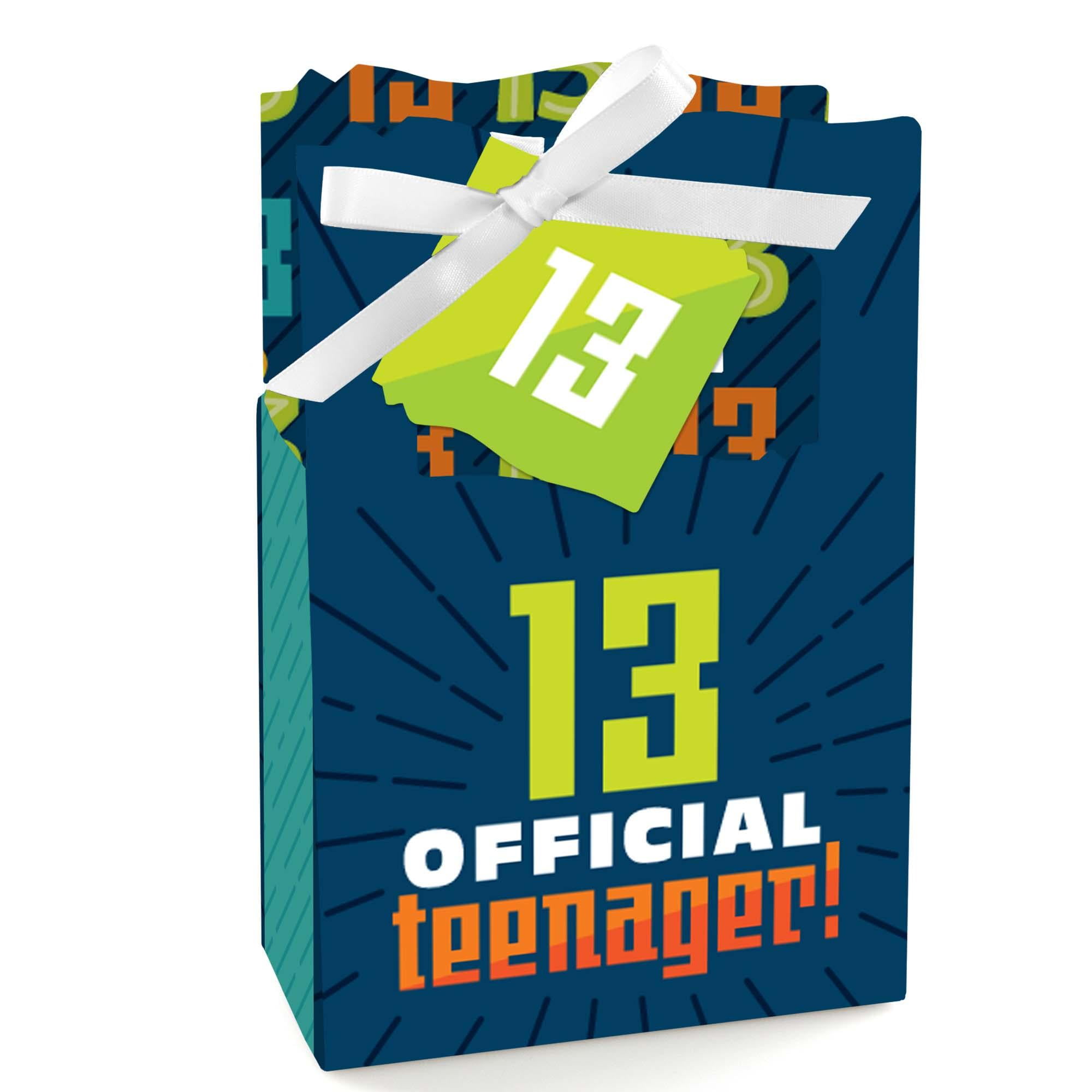 Big Dot of Happiness Boy 13th Birthday - Official Teenager Party Favor ...