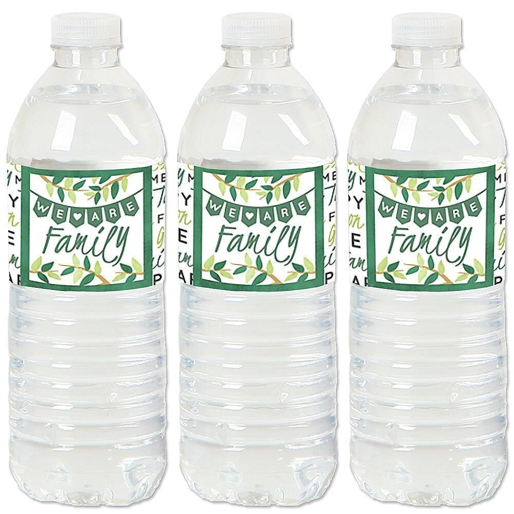 Big Dot of Happiness Family Tree Reunion - Family Gathering Party Water ...