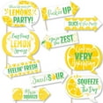 Big Dot of Happiness Funny So Fresh - Lemon - Citrus Lemonade Party ...