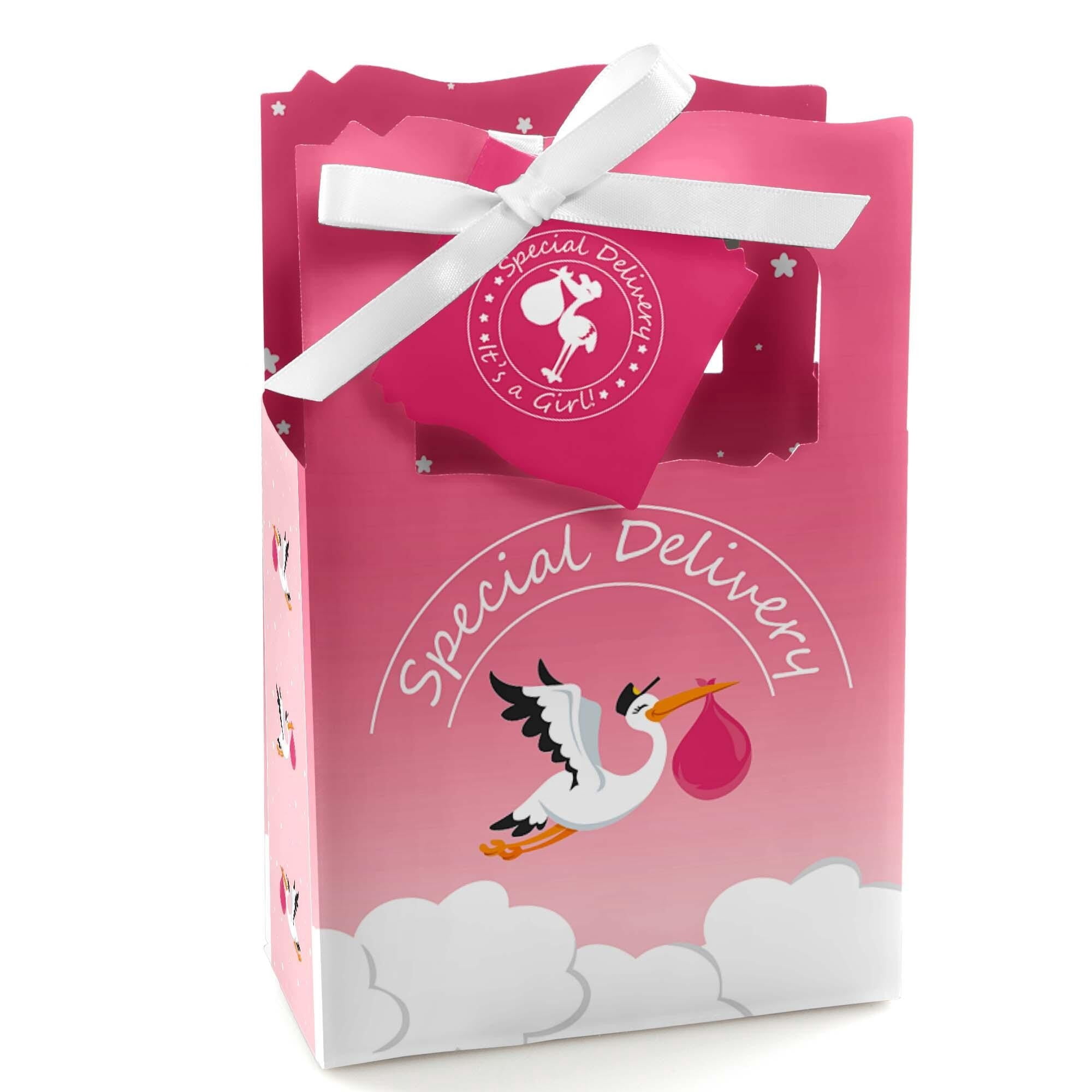 Big Dot of Happiness Girl Special Delivery - Pink It's a Girl Stork ...
