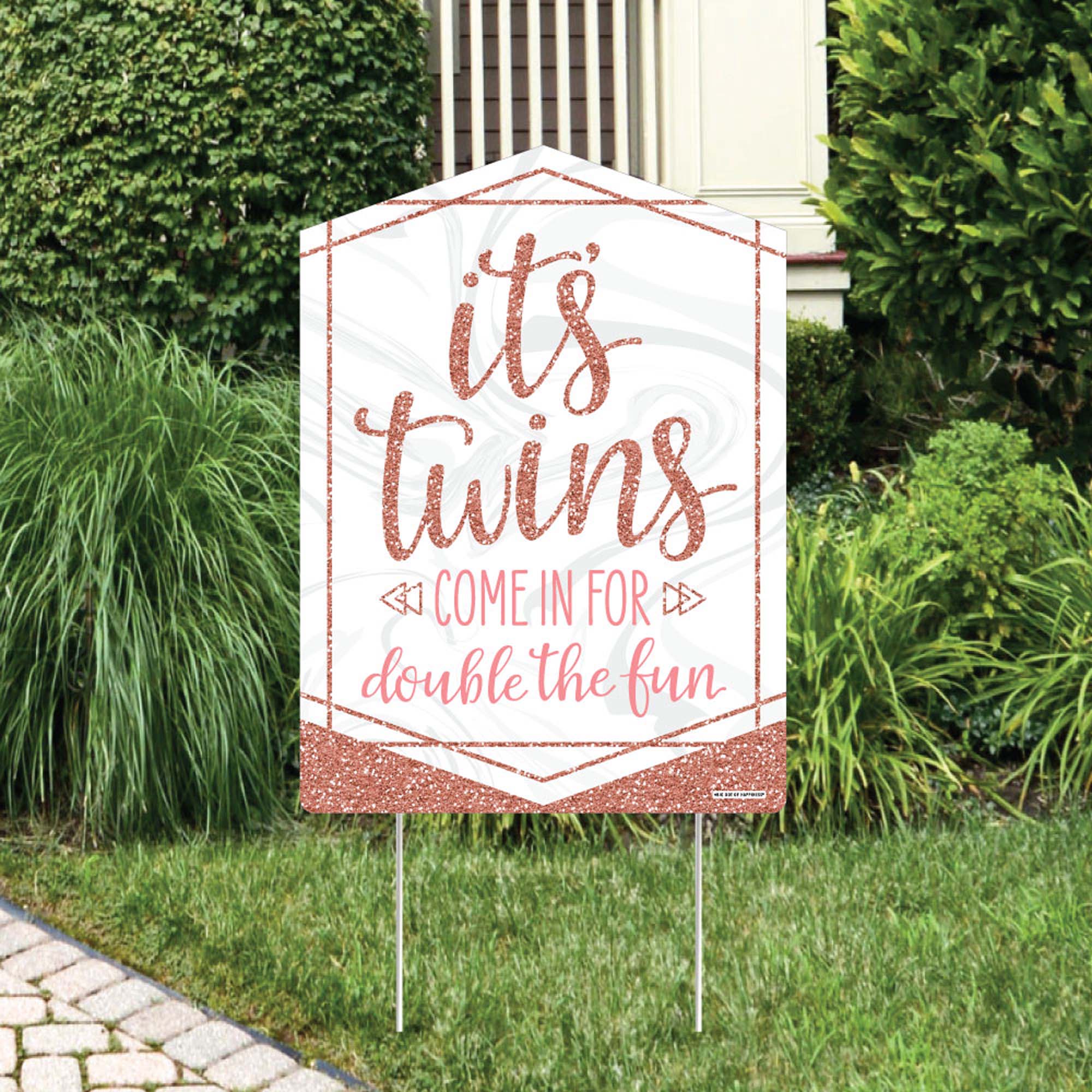 Big Dot of Happiness It's Twin Girls - Party Decorations - Pink and ...