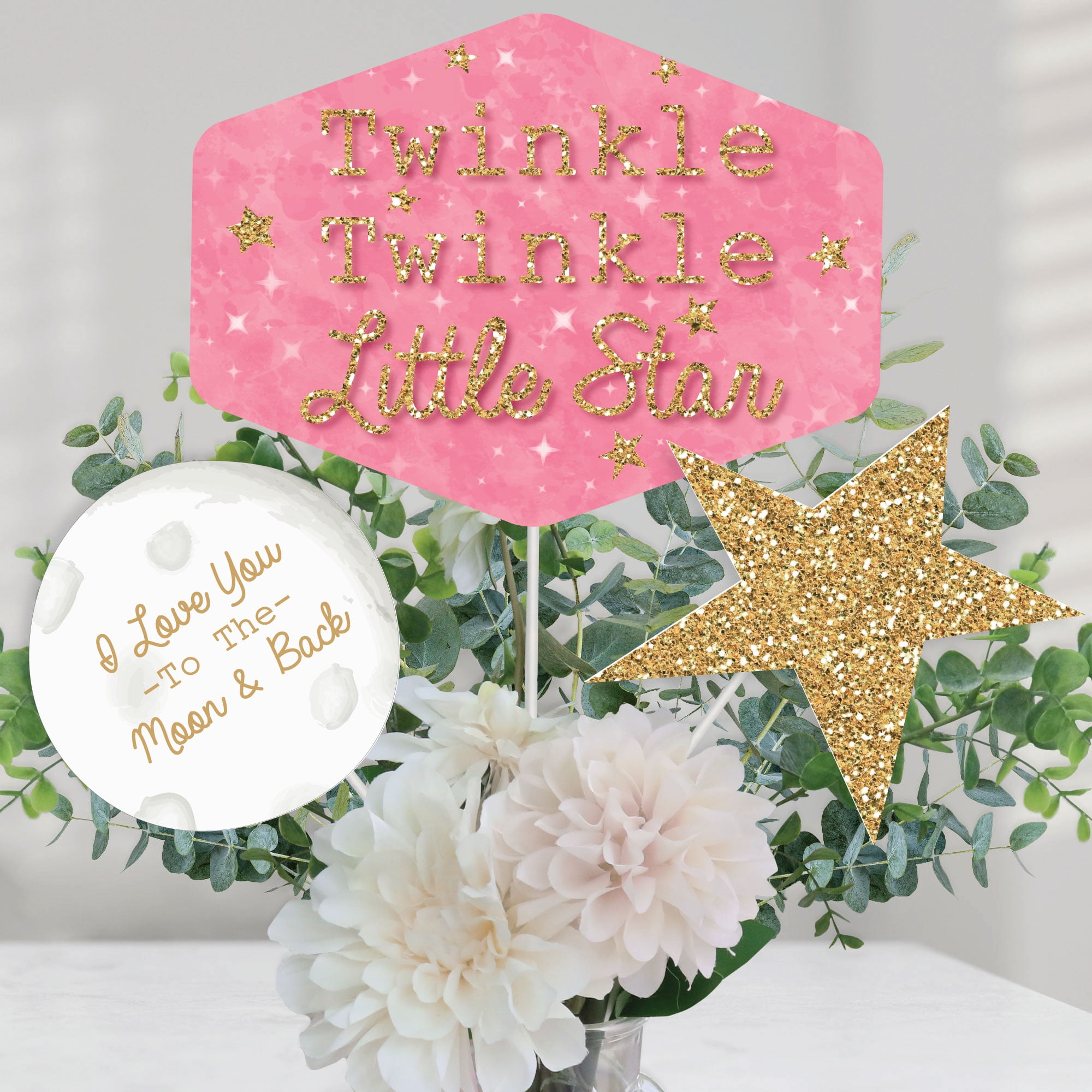 Twinkle Twinkle Little Star Party Twinkle Twinkle Little Star Baby