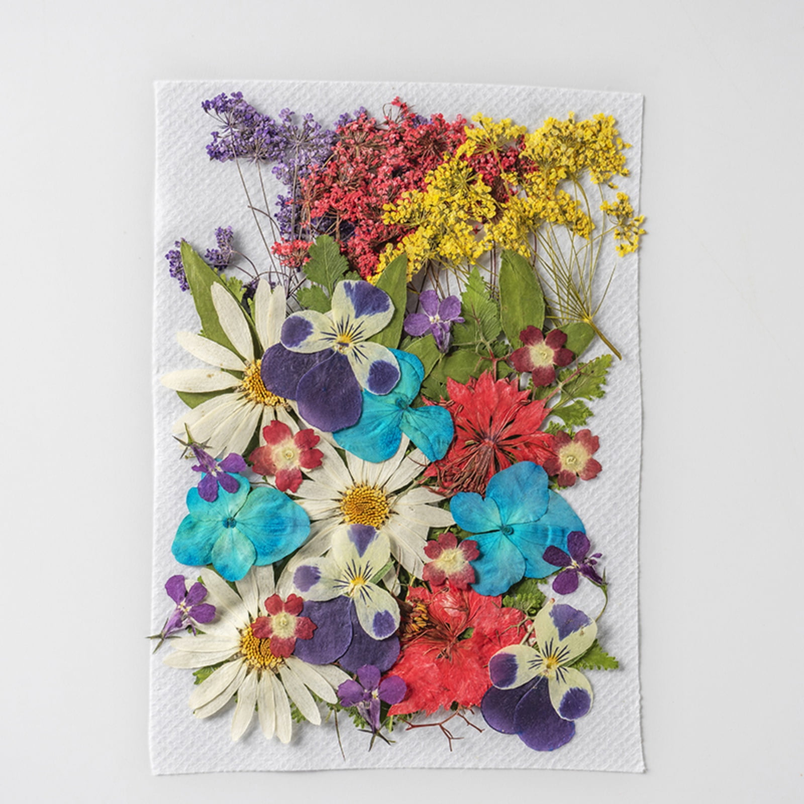 Big Dried Flowers Set for Resin Mold, Pressed Flower Natrual Dry Leaves ...