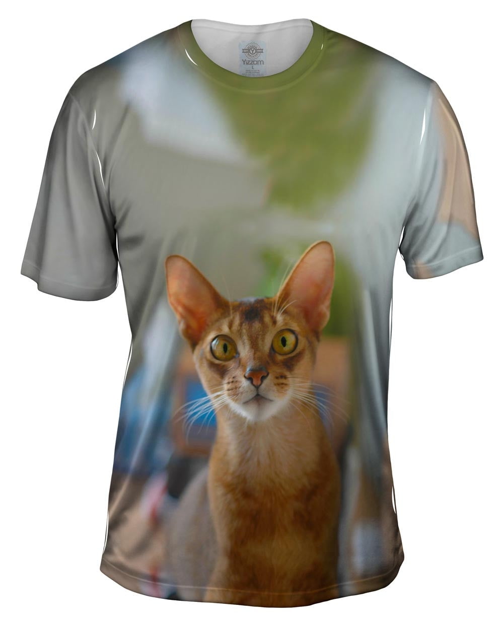 Big Eyed Brow Cat Mens T-Shirt All Over Print - Walmart.com