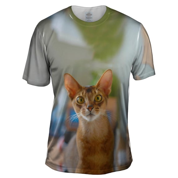 Big Eyed Brow Cat Mens T-Shirt All Over Print - Walmart.com