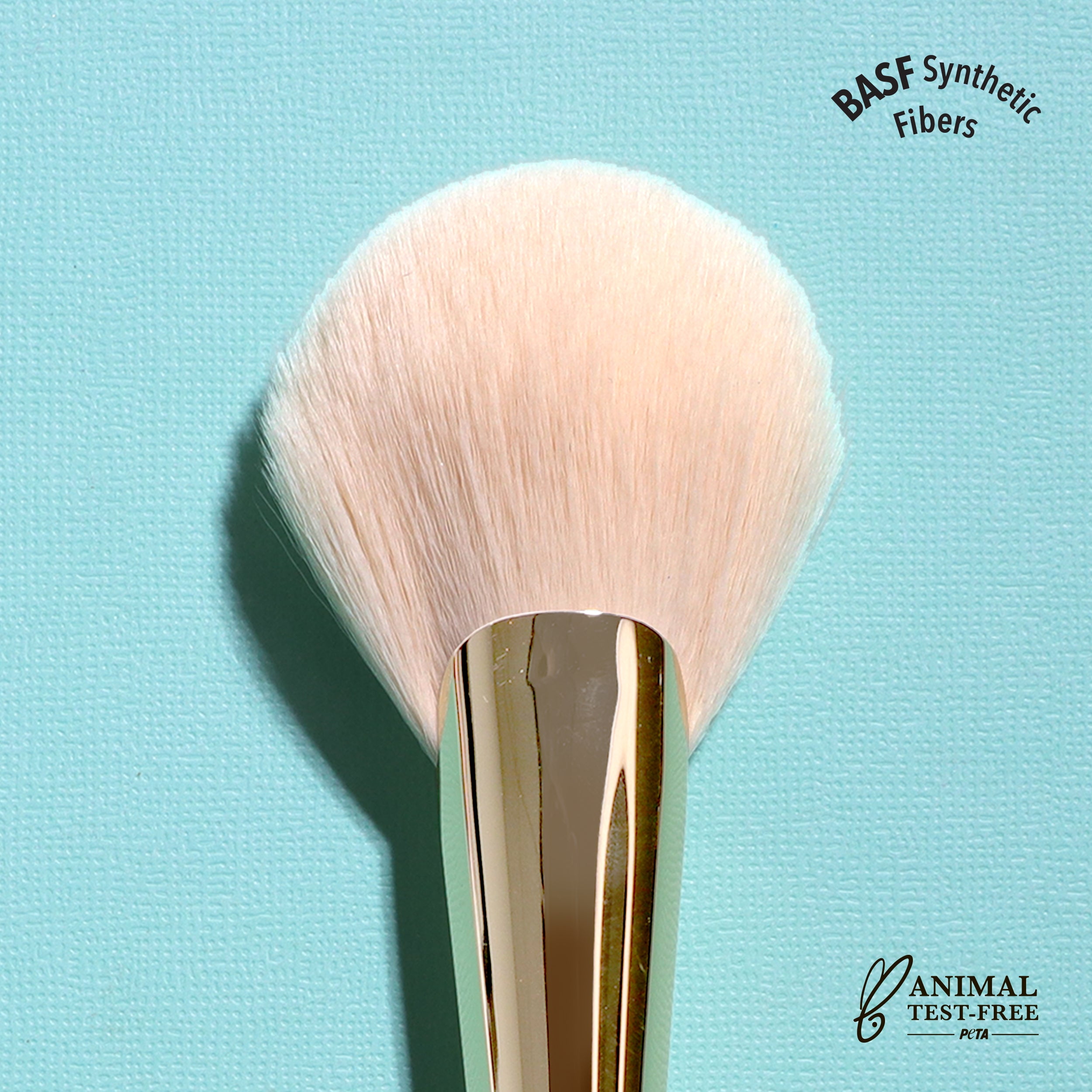 Big Fan Brush - Walmart.com