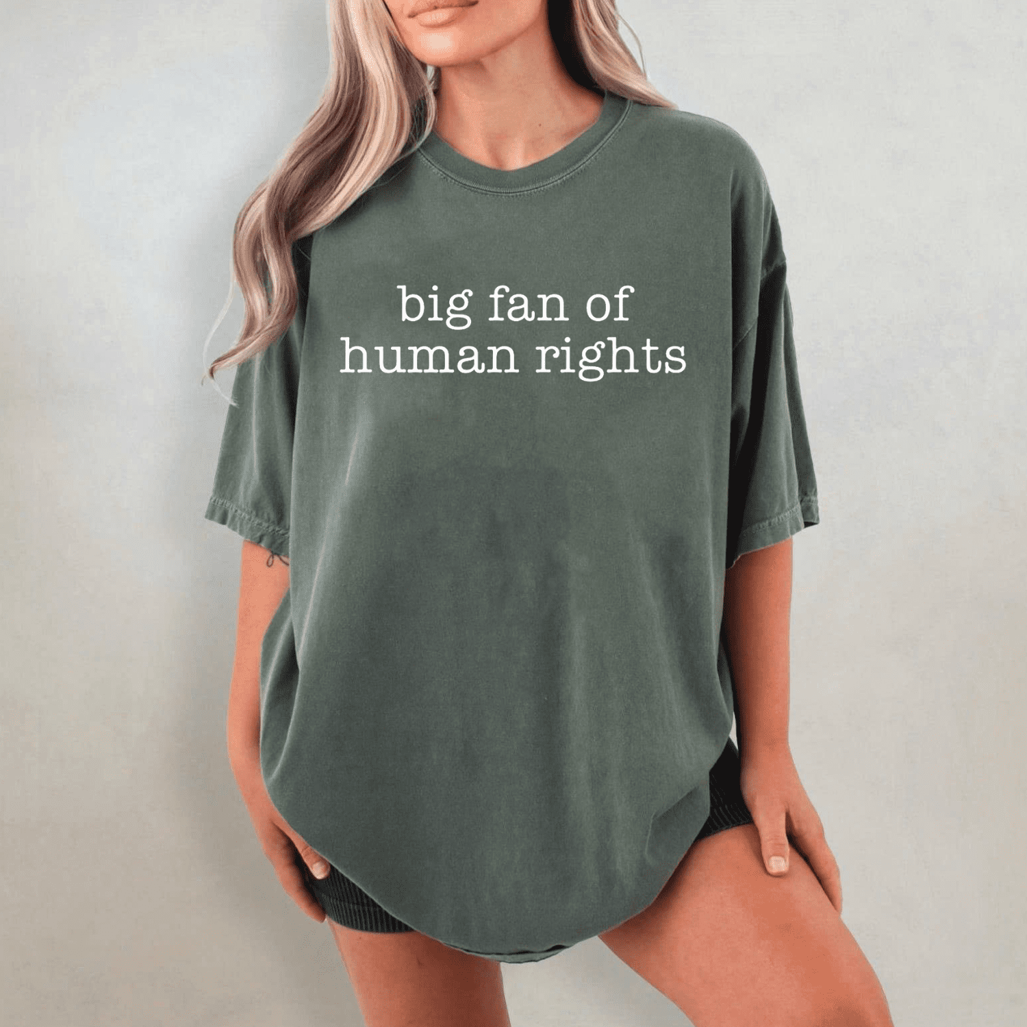 Big Fan Of Human Rights Comfort Color Shirt, Equality Comfort Color ...