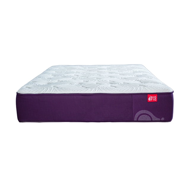 Big Fig Queen Mattress | Rest - Walmart Business Supplies