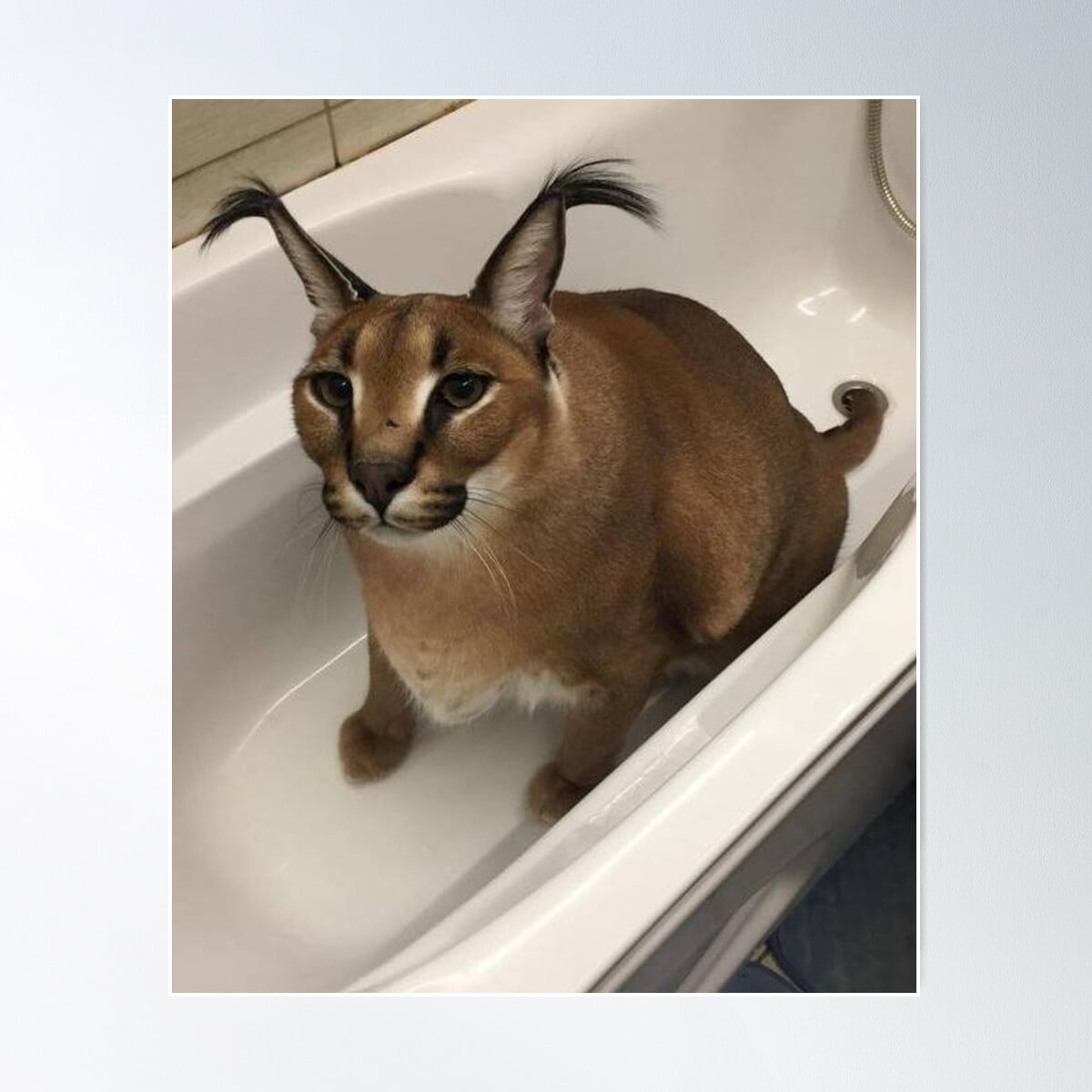 Big Floppa Cat Meme Poster Wall Art, Modern Wall Decor For Living Room ...